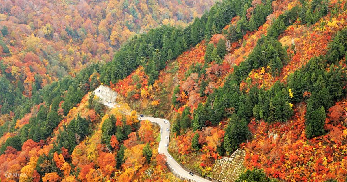 Scenic Hakusan Shirakawa-go White Road & Shirakawa-go from Kanazawa - Klook